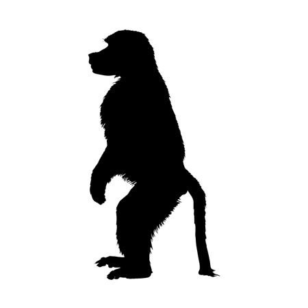 Baboon Iron on Transfer